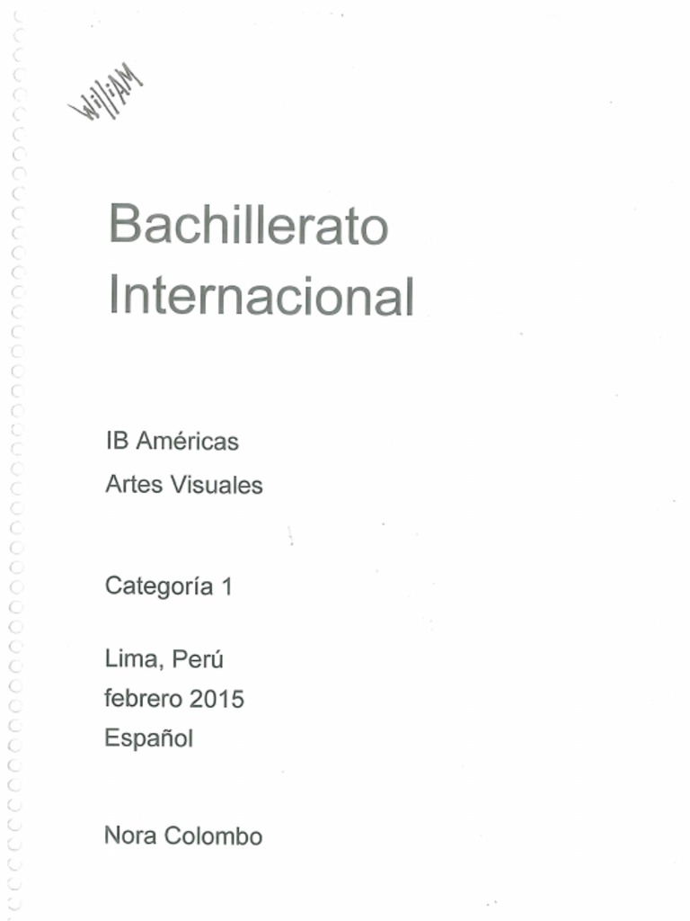 Guia Curatorial Artes Visuales | PDF