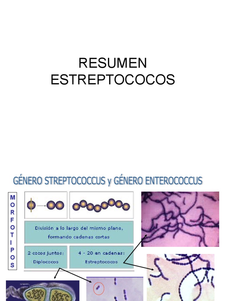 Resumen Estreptococos | PDF