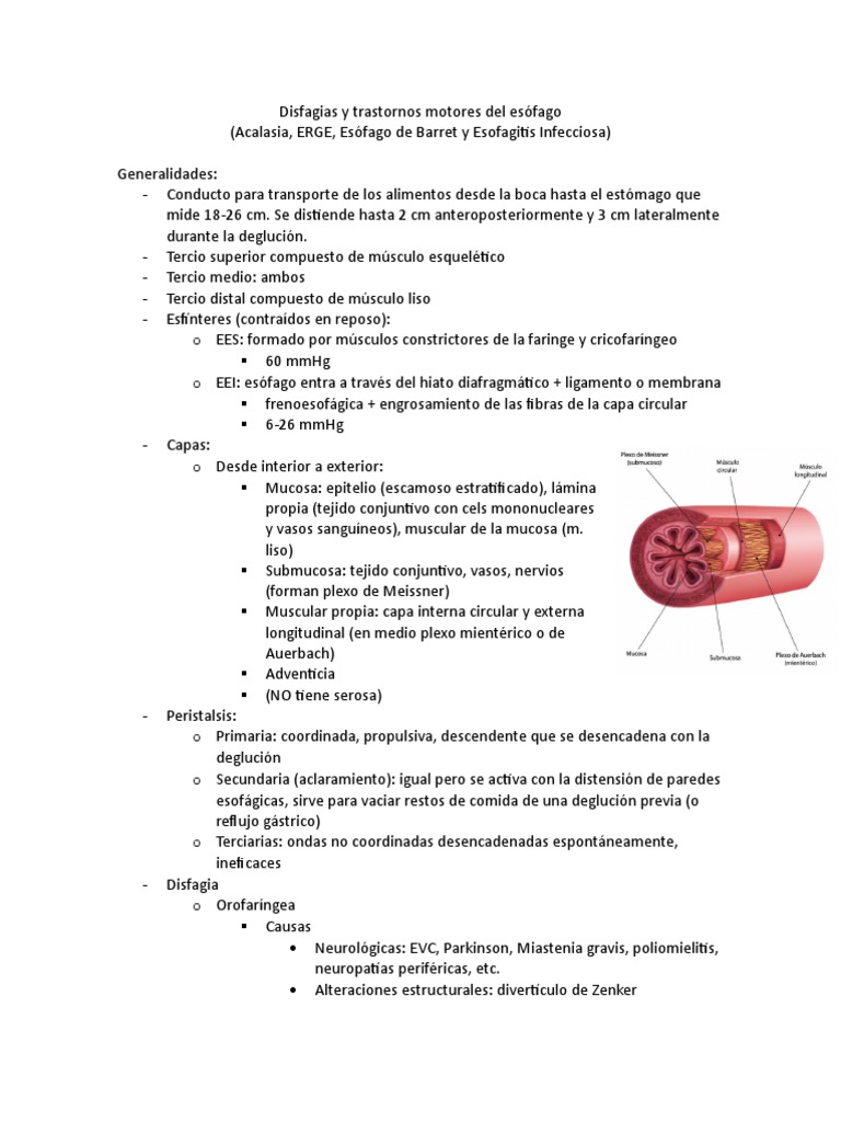 Disfagias y Trastornos Motores Del Esófago | PDF | La enfermedad por ...