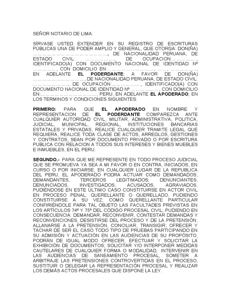 Minuta de Otorgamiento de Poder | PDF