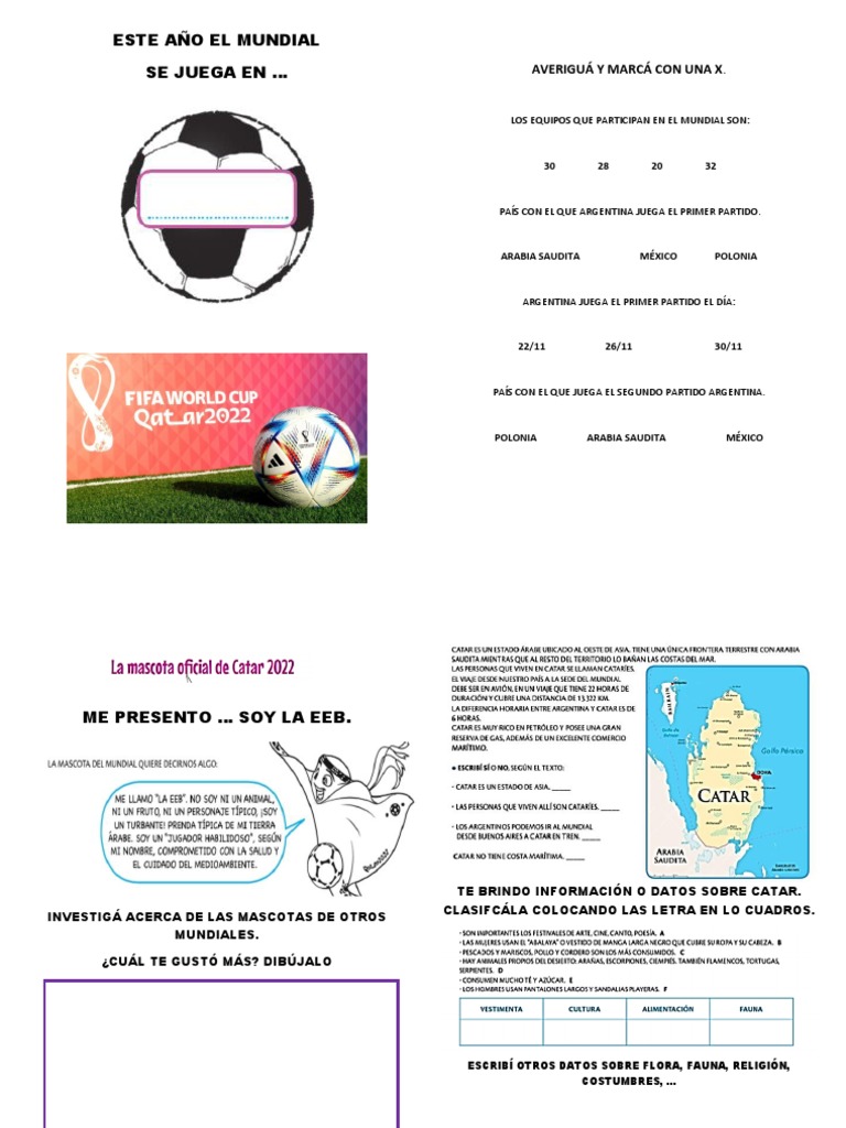 Cuadernillo Mundial | PDF | Hormiga