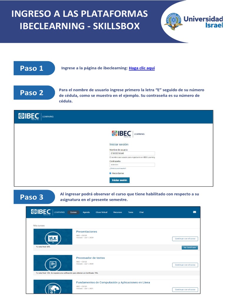 Instructivo de Ingreso A Plataformas IBEC | PDF