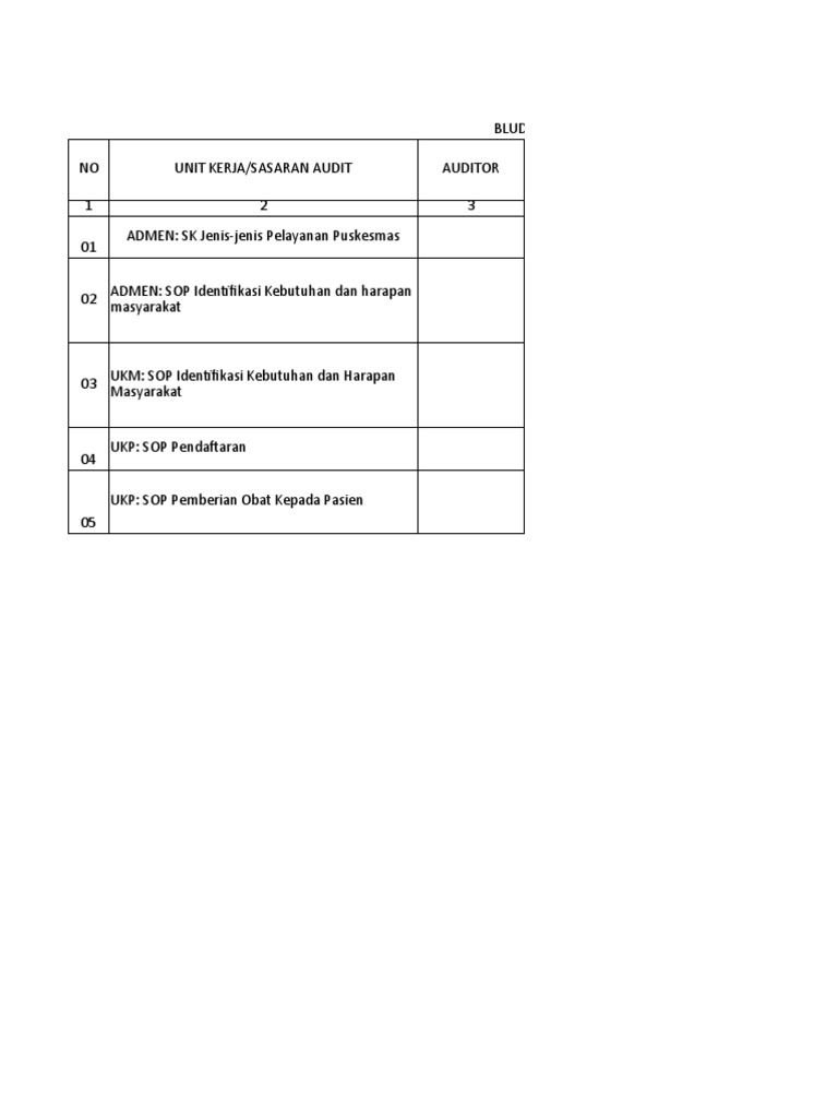 Rencana Audit Internal | PDF
