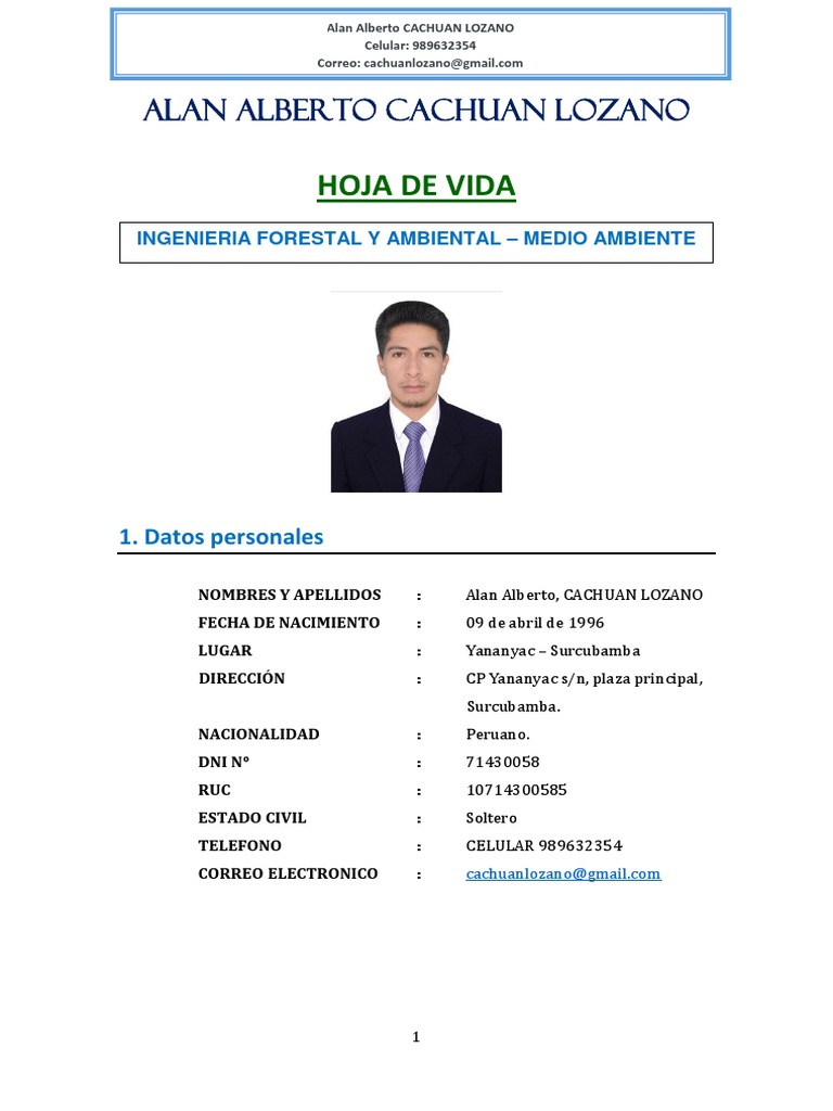 2 - HOJA DE VIDA - Alan - C | PDF