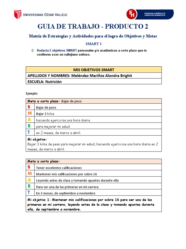 2° Matriz Objetivos Smart | PDF