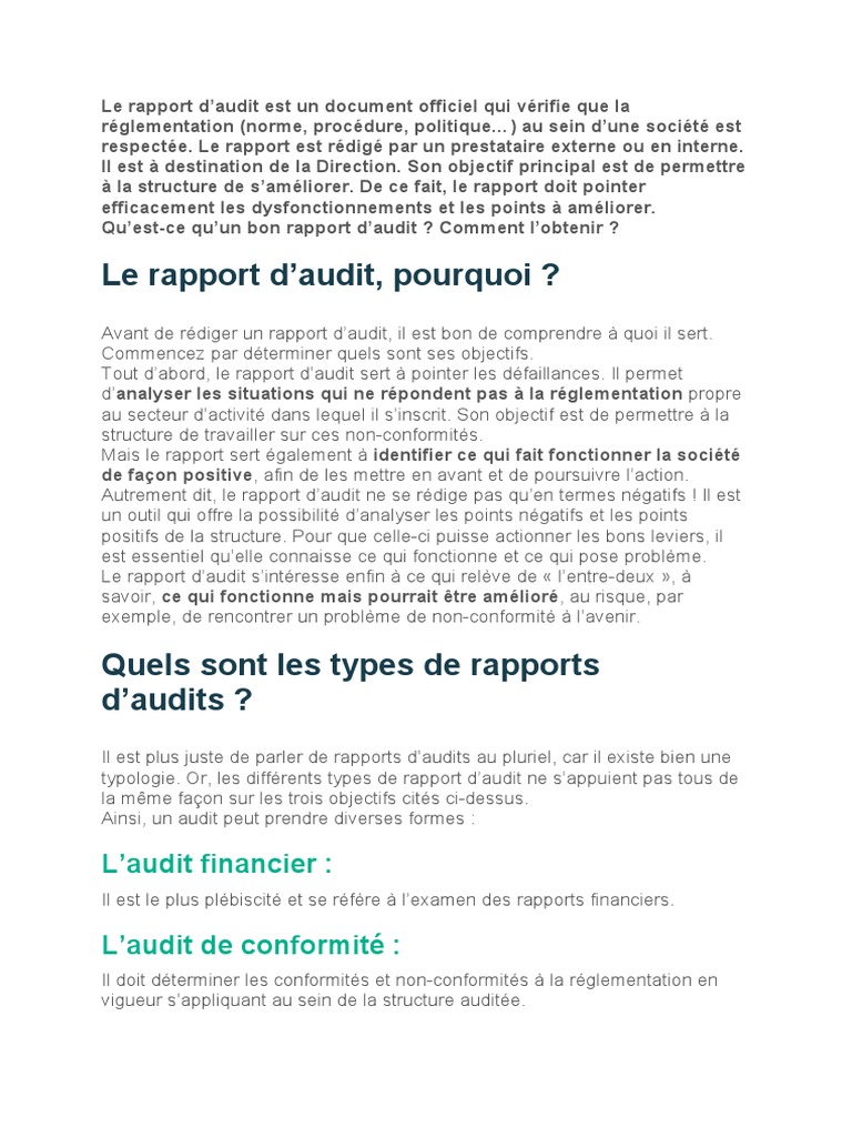 Le Rapport D'audit | PDF