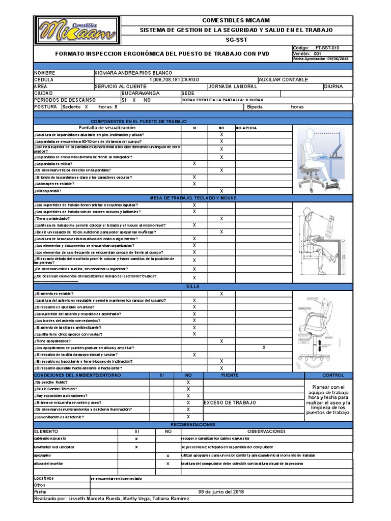 Formato Inspeccion Ergonomica | PDF