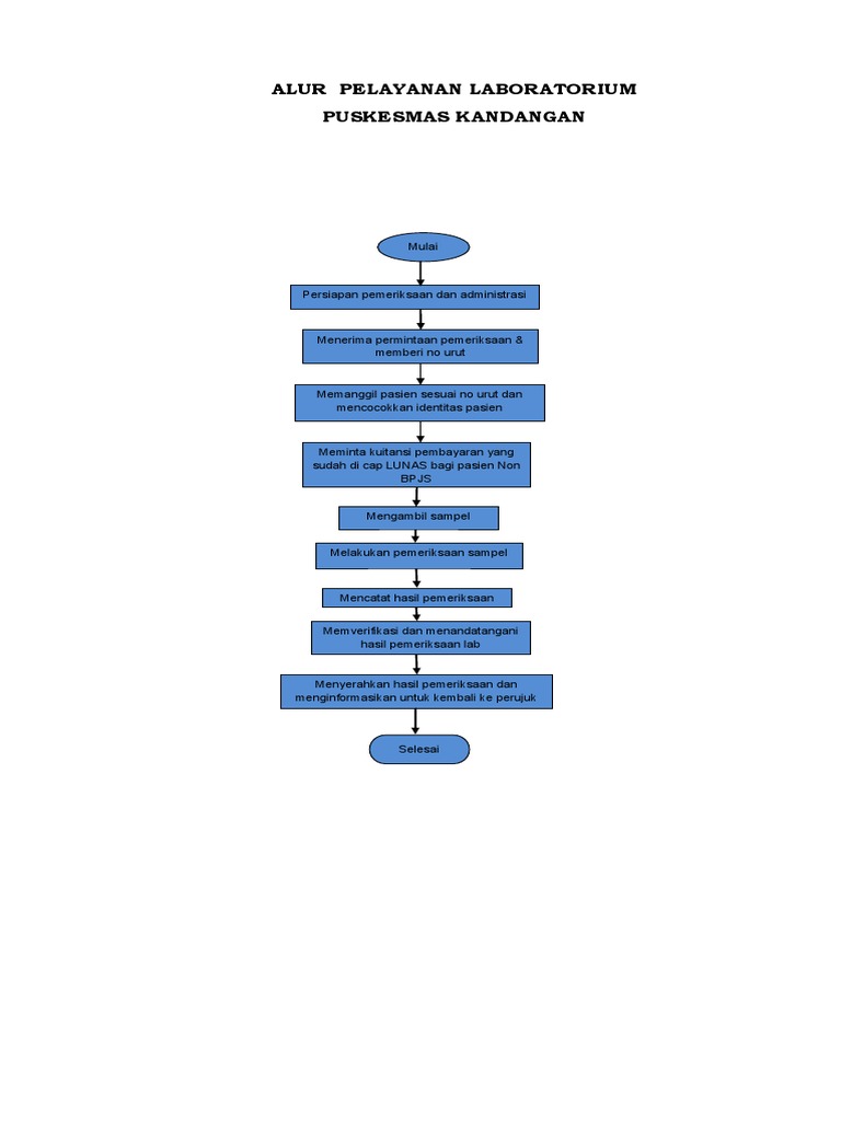 Alur Pelayanan Laboratorium | PDF