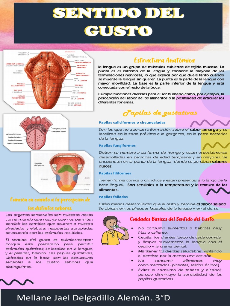 Sentido Del Gusto | PDF