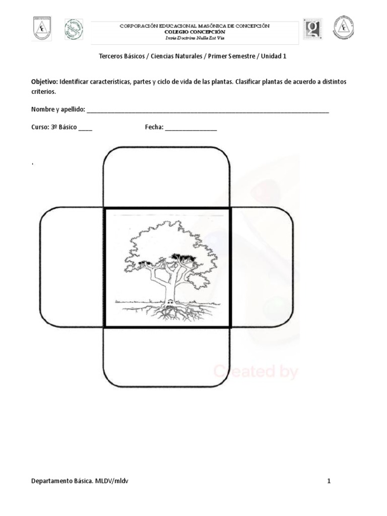 Foldable Plantas | PDF