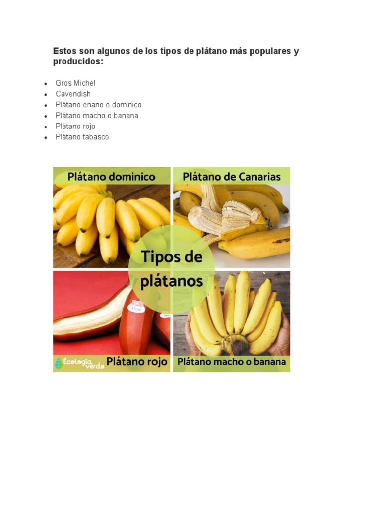 Algunos de Los Tios de Platano | PDF | Plátano | Azúcar