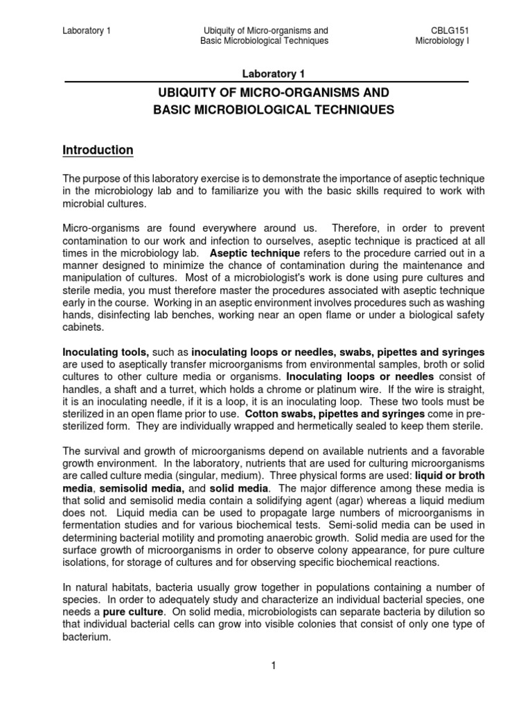 Lab 1 Basic Techniques W23 Pdf 