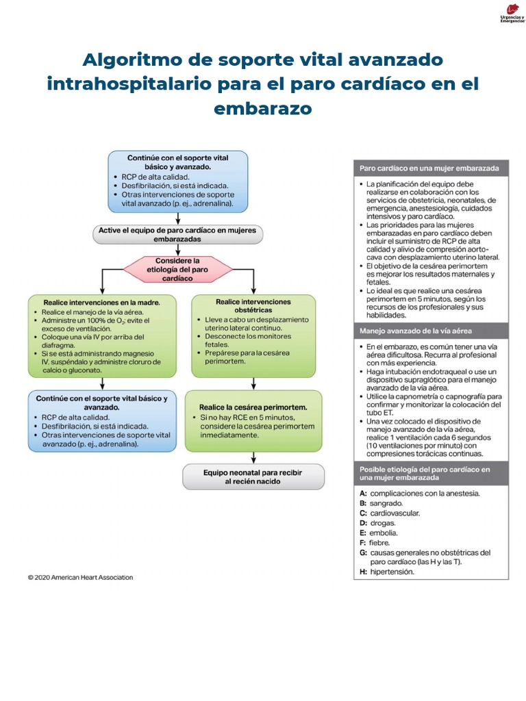 Algoritmo RCP Embarazada AHA 2020 | PDF