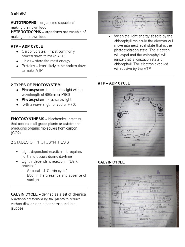 Gen Biology G12 2ND Sem | PDF