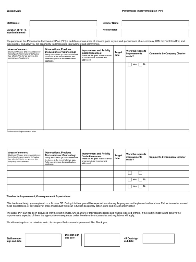 Performance Improvement Plan (PIP) - Form | PDF | Business | Economies