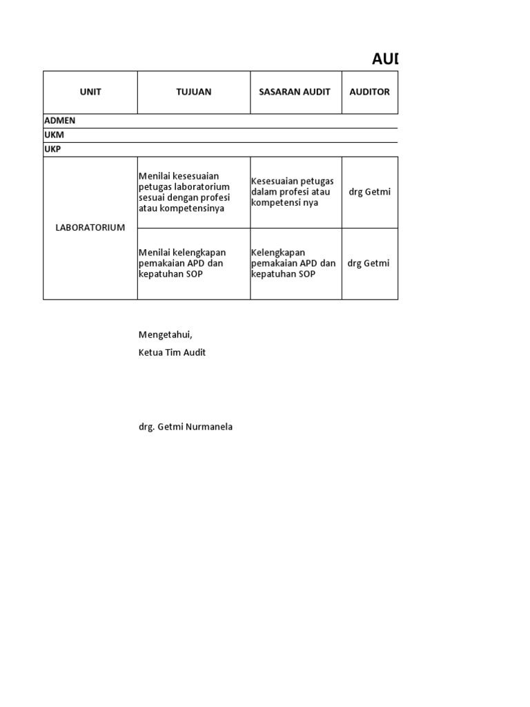 Audit Lab. | PDF