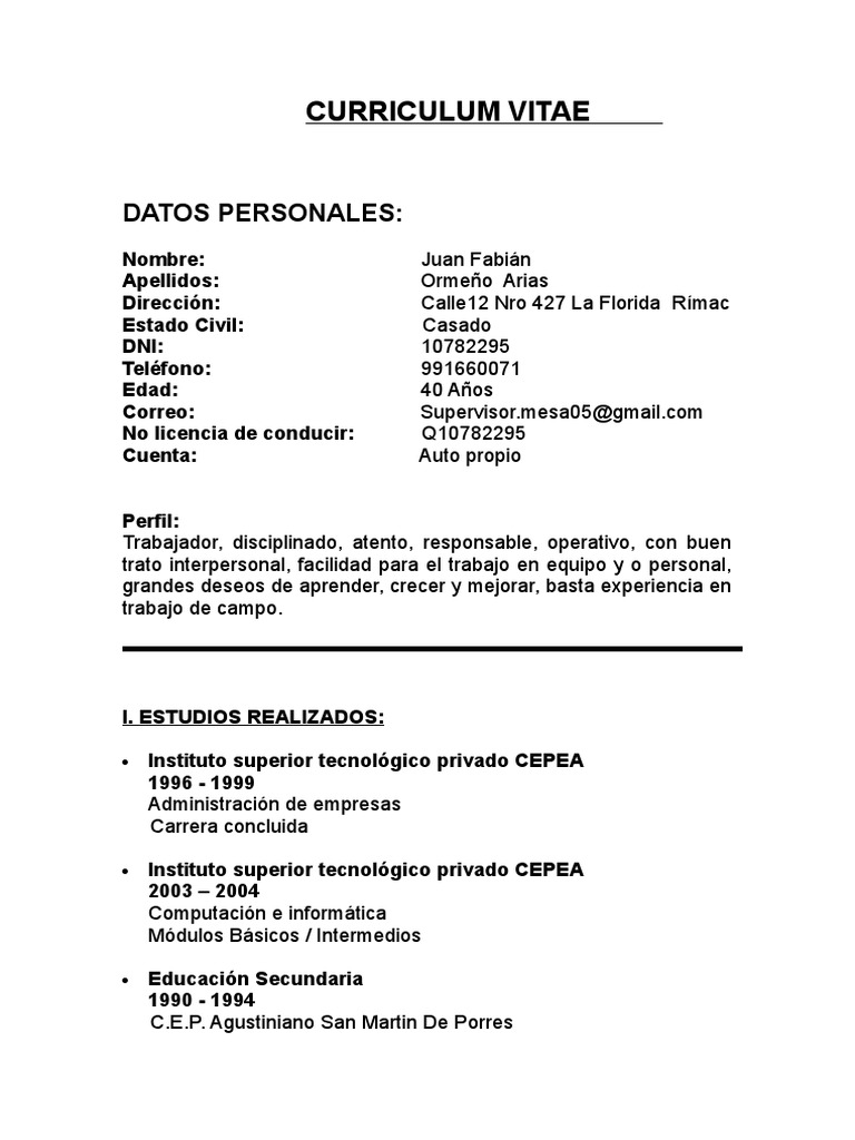 Curriculum - Vitae Fabian Actualizado | PDF