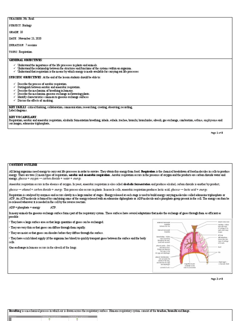 Grade 10 Bio Respiration 2020 2 | PDF | Cellular Respiration ...