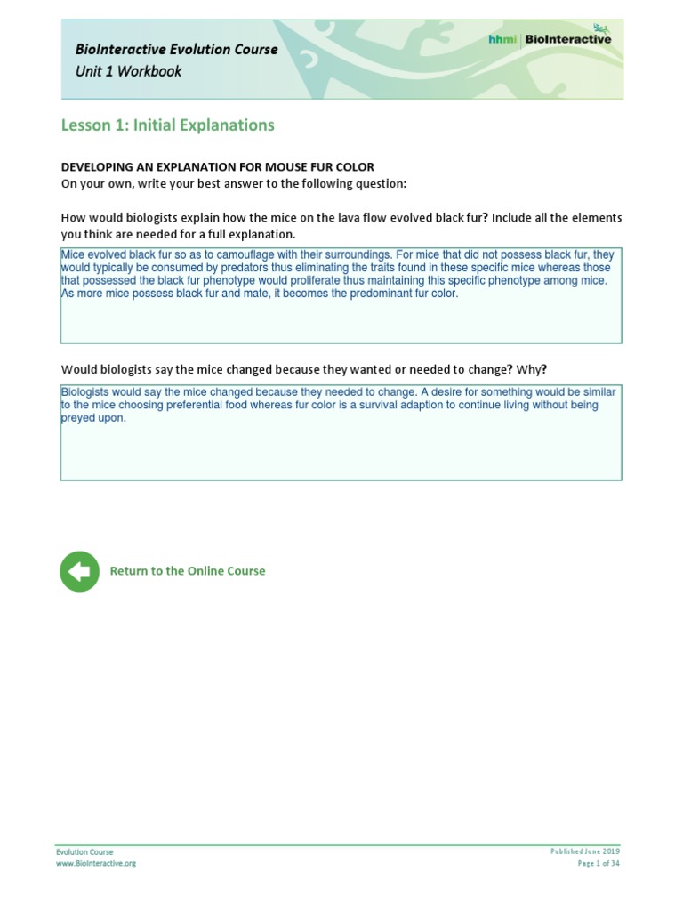Unit 1 Workbook Evolution | PDF | Evolution | Mutation