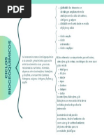 T3. Mapa Conceptual Sobre Ciclos Biogeoquimicos | PDF