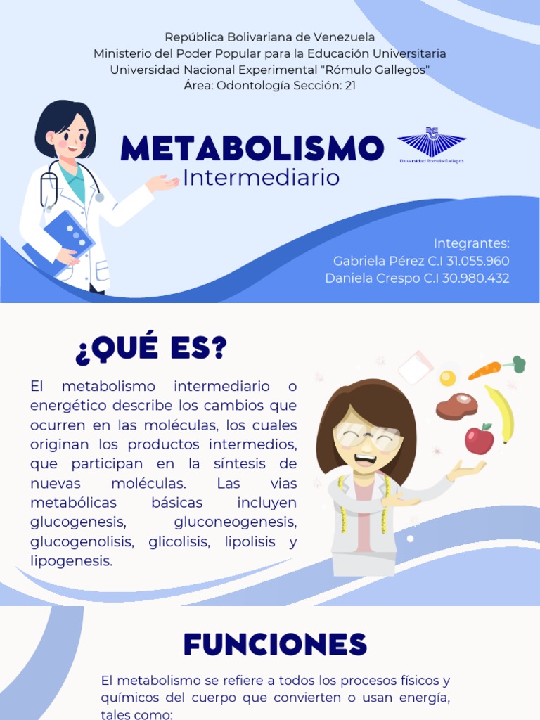 Diapositivas Metabolismo Intermediario | PDF