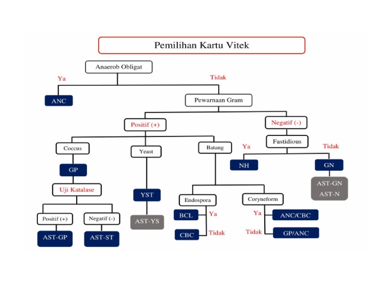 VITEK® Card Selection | PDF