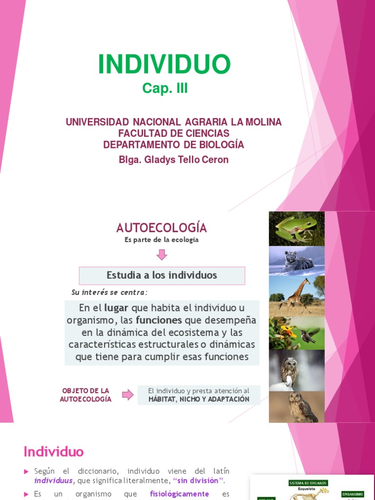 Cap3 Individuo | PDF