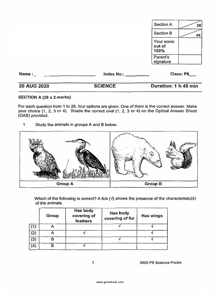 Primary 6 - Science - 2020 - Prelims - 2 | PDF