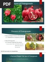 Agro-Chemical Compatibility Guide | PDF | Intensive Farming ...