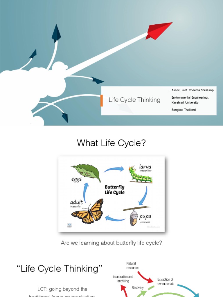 Life Cycle Thinking Cheema NUNI Int Seminar | PDF