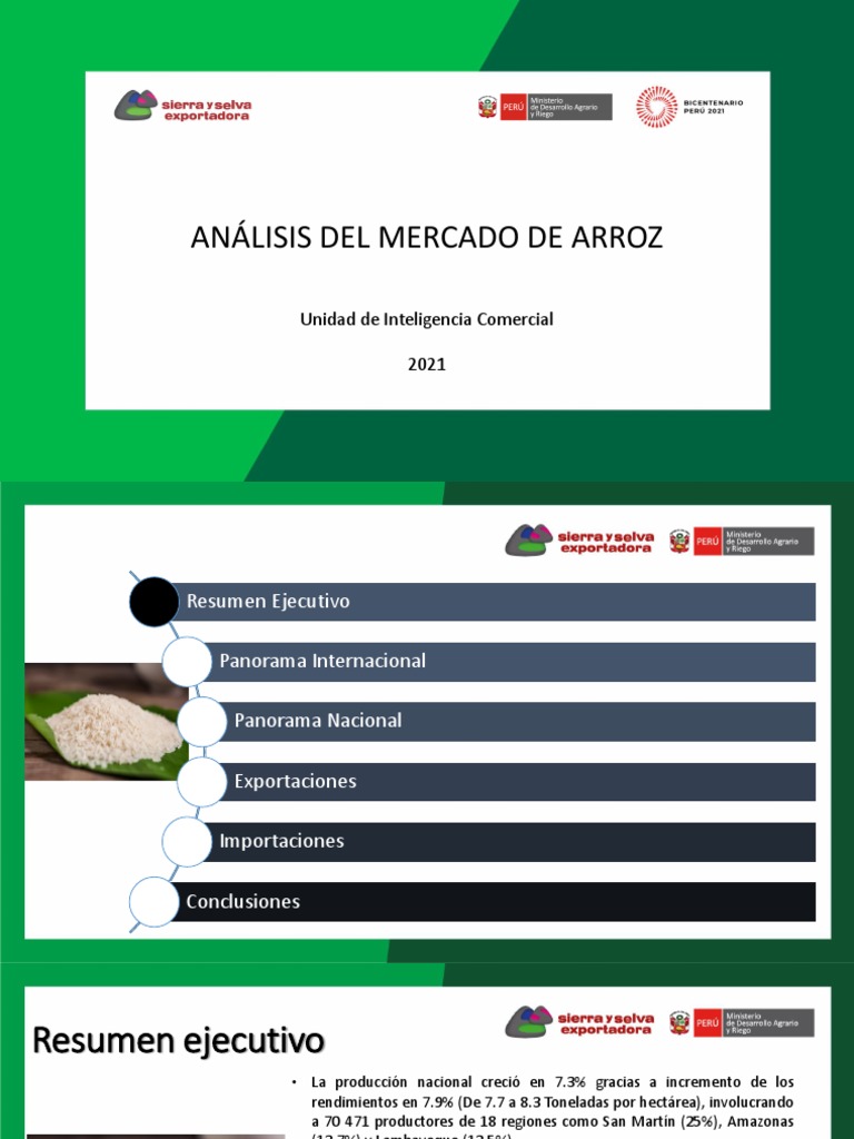 Arroz | PDF