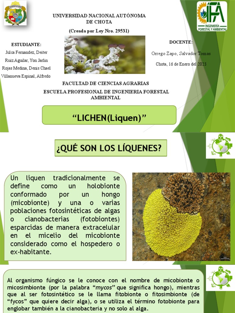 Liquen | PDF | Interacciones biológicas | Taxa