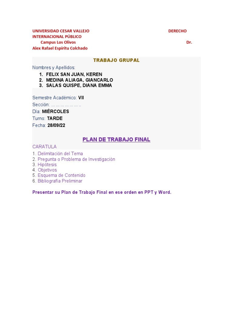 1plan de Trabajo Final. DIP | PDF