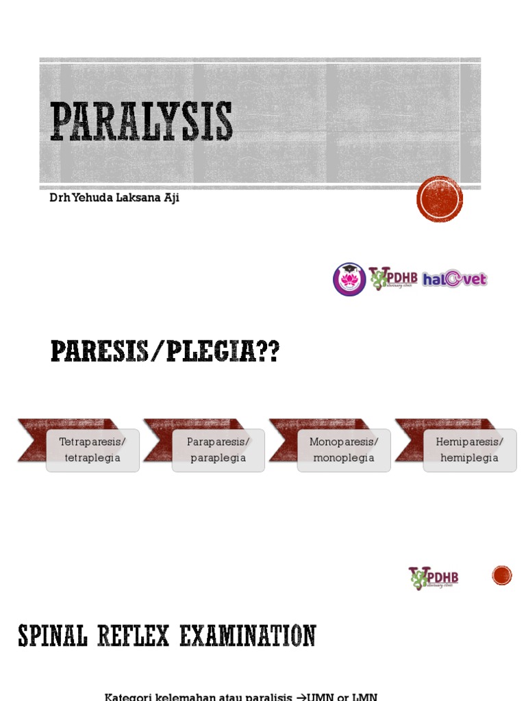Paralysis in Dogs and Cats | PDF