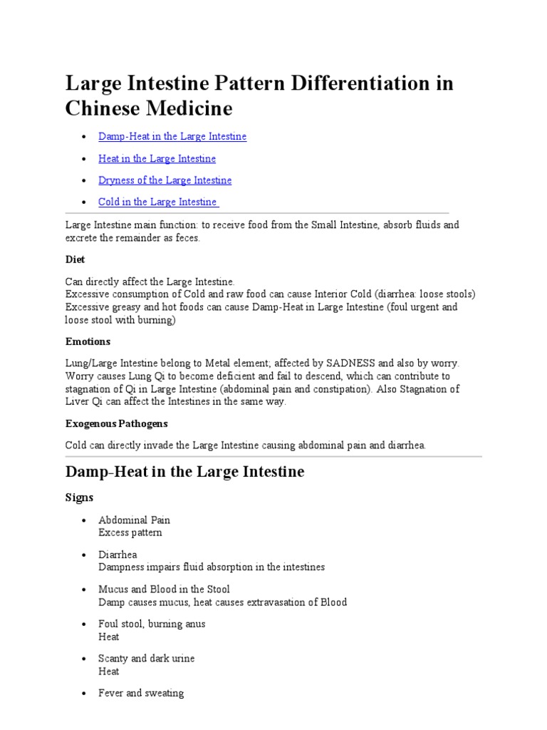 Large Intestine Pattern Differentiation in Chinese Medicine | PDF ...