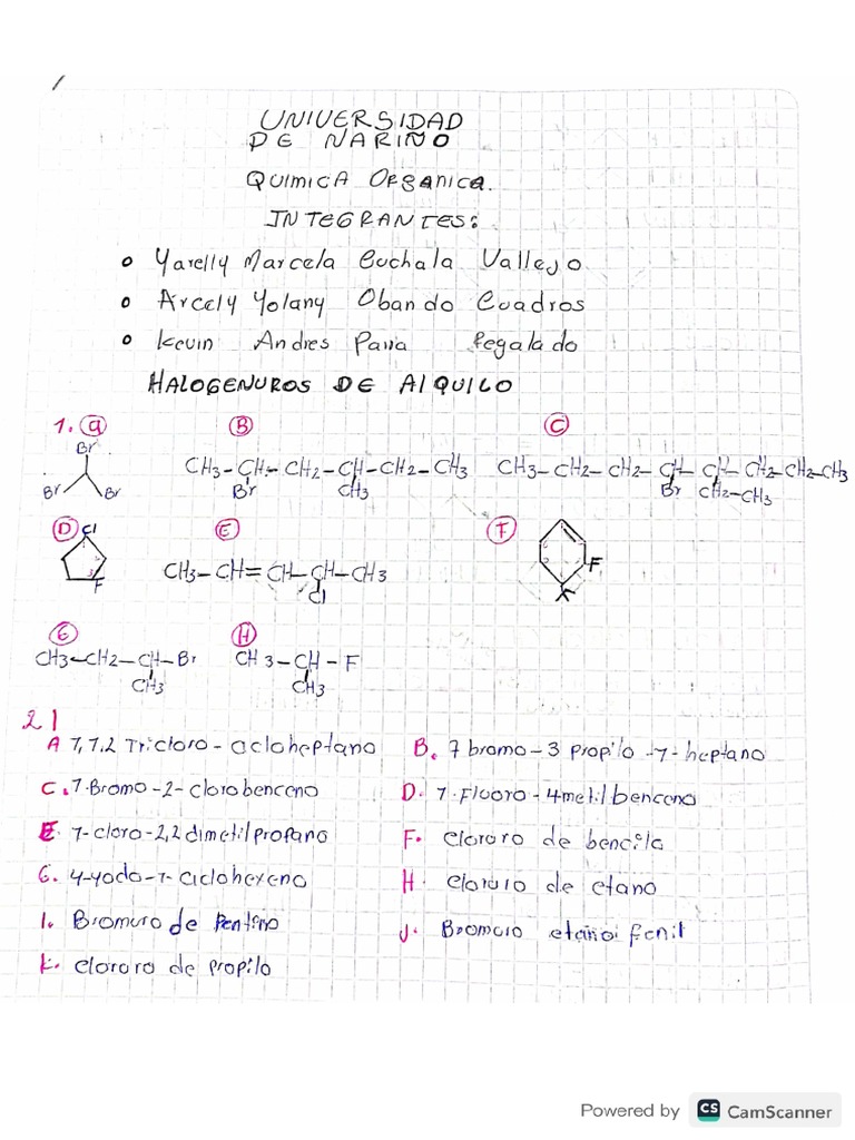 Taller de Halogenuros de Alquilo | PDF