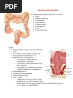 Anatomía y Fisiología Anorrectal | PDF | Recto | Sistema digestivo