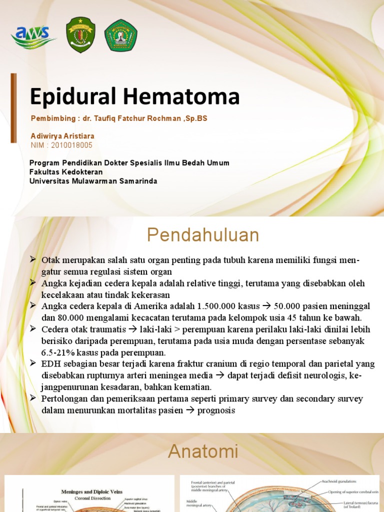 EDH Adiwirya Aristiara | PDF