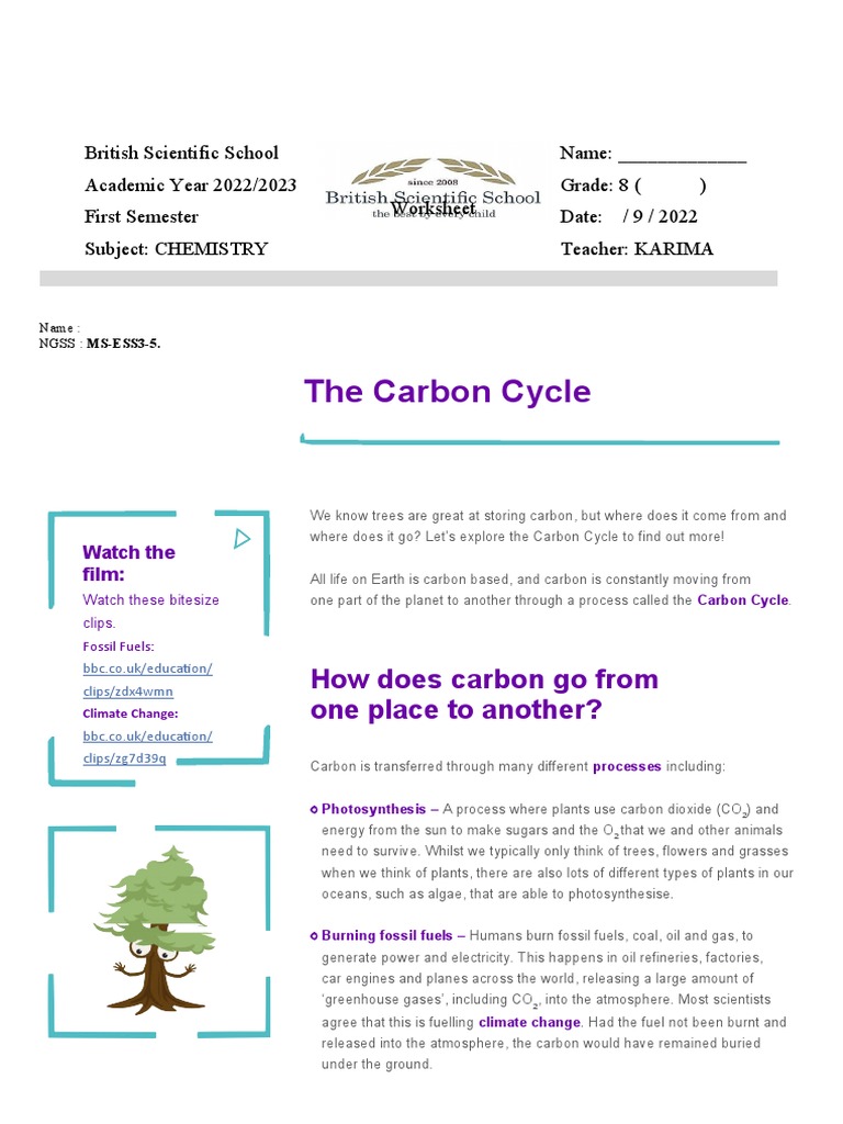 Carbon Cycle Worksheet 3 | PDF | Carbon Dioxide | Fossil Fuels