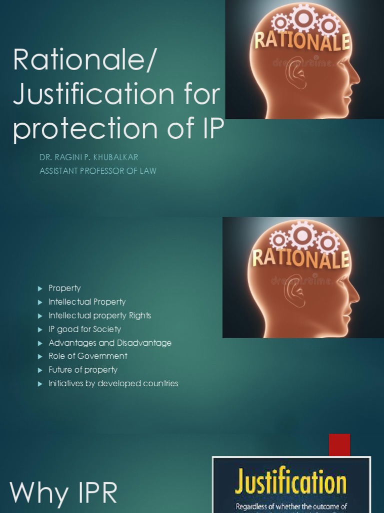 2 Rationale and Justification for Protection of IP | PDF