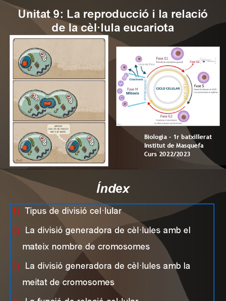 Unitat 9 - Reproducció I Relació Cel Lulars | PDF