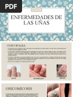 Tipos de Placas Ungueales y sus Funciones | PDF | Clavo (anatomía)