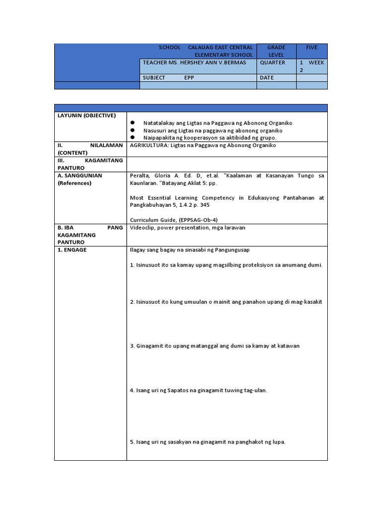 EPP LESSON PLAN | PDF