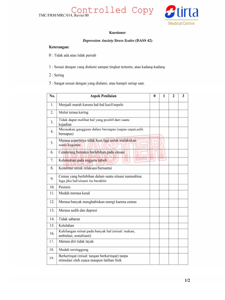 014 Form Kuesioner Depression Anxiety Stress Scales (Dass 42) Rev 00 | PDF