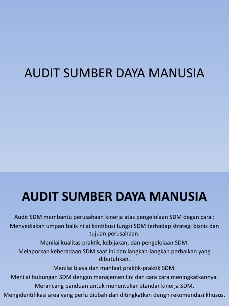 Pendekatan Audit SDM untuk PT Alfa | PDF