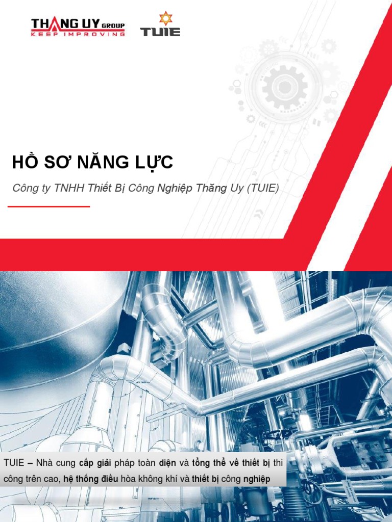 Profile Tuie 2020 - Vie | PDF