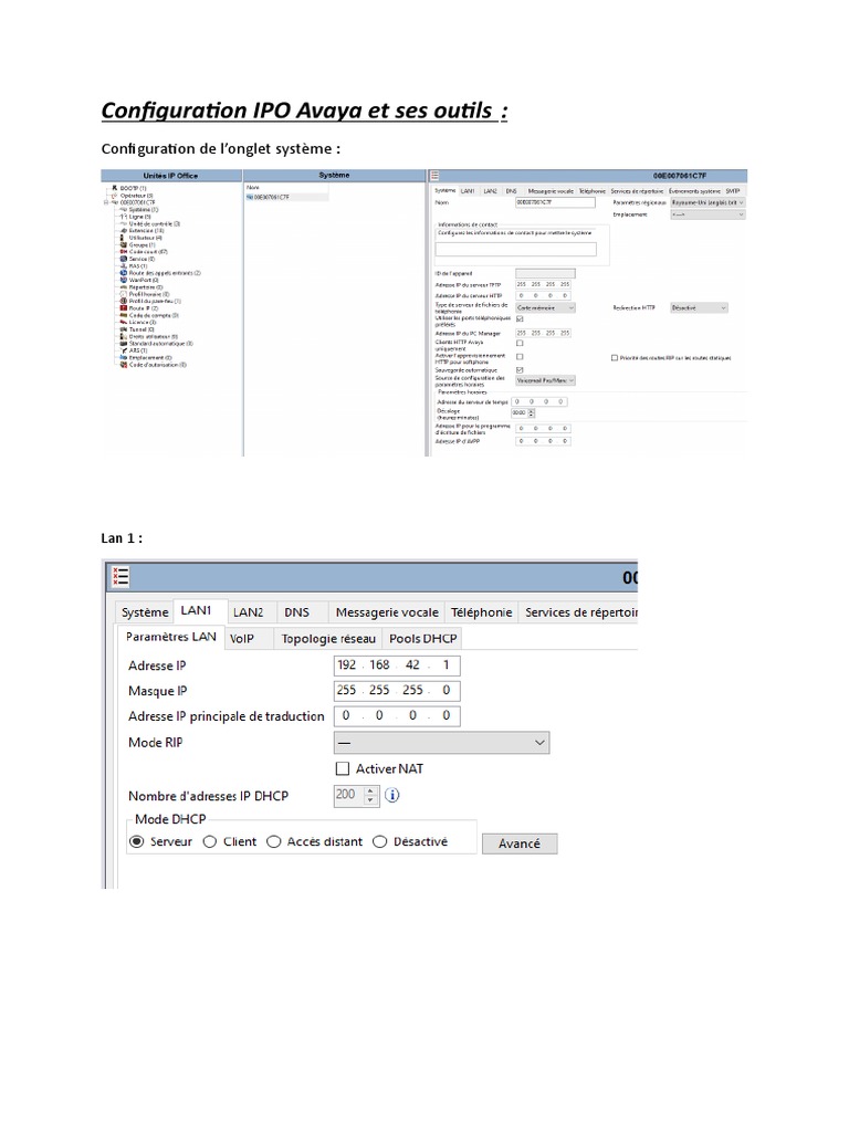 Configuration Avaya IPO et Outils Essentiels | PDF | Ordinateurs