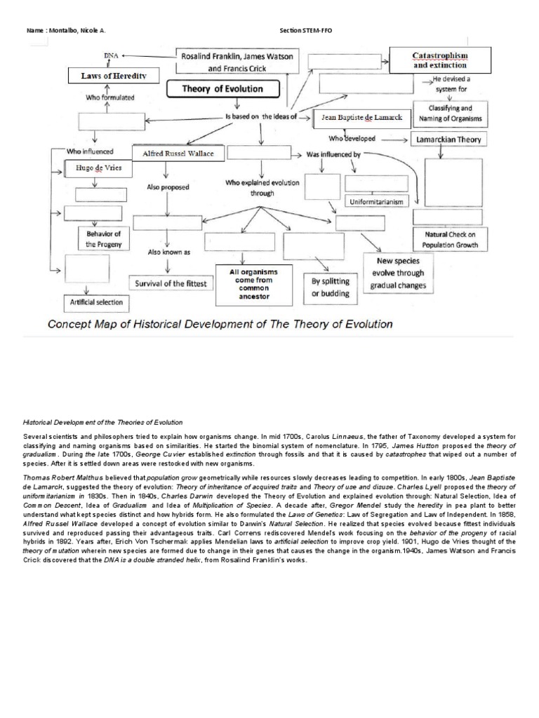 Evolutionary Thought Worksheet | PDF