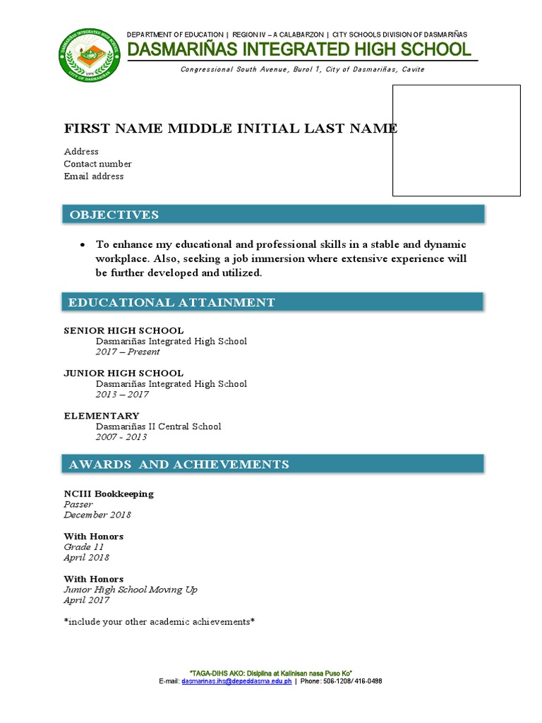 Immersion Resume Template | PDF