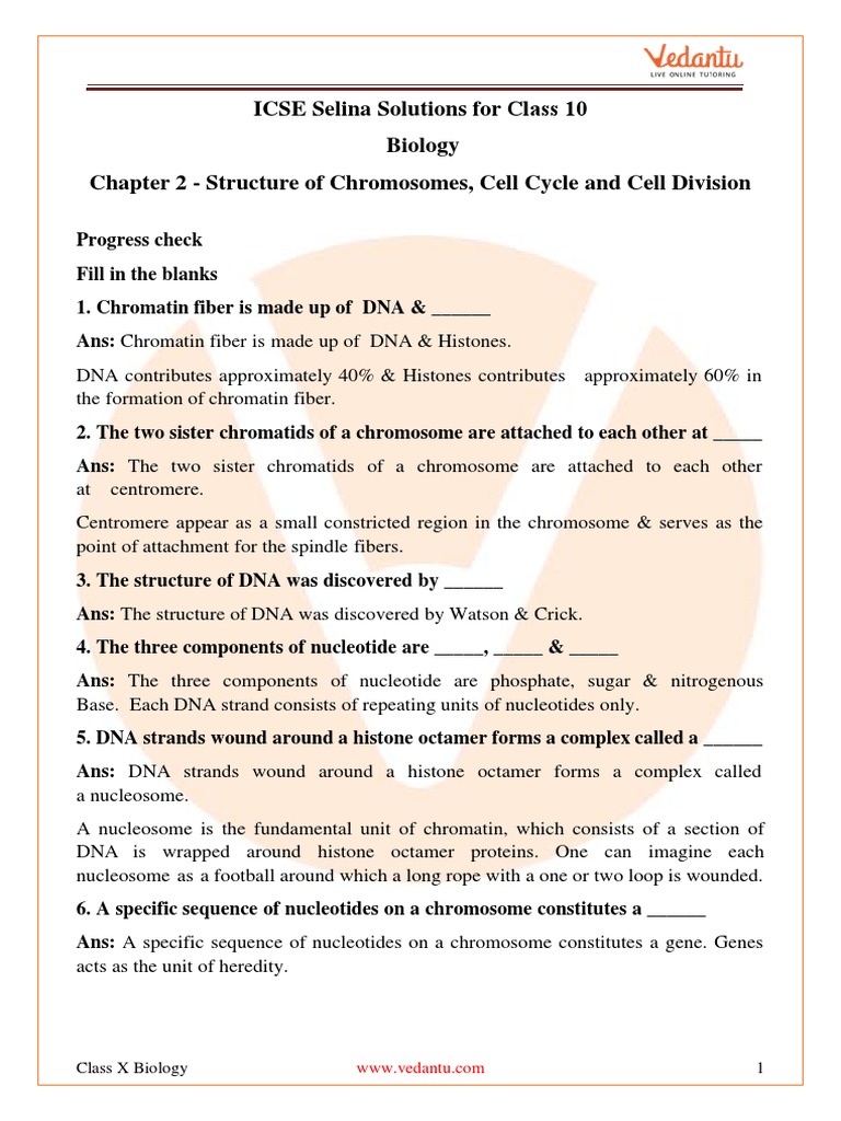 Class 10 Biology: Chromosomes & Cell Cycle | PDF